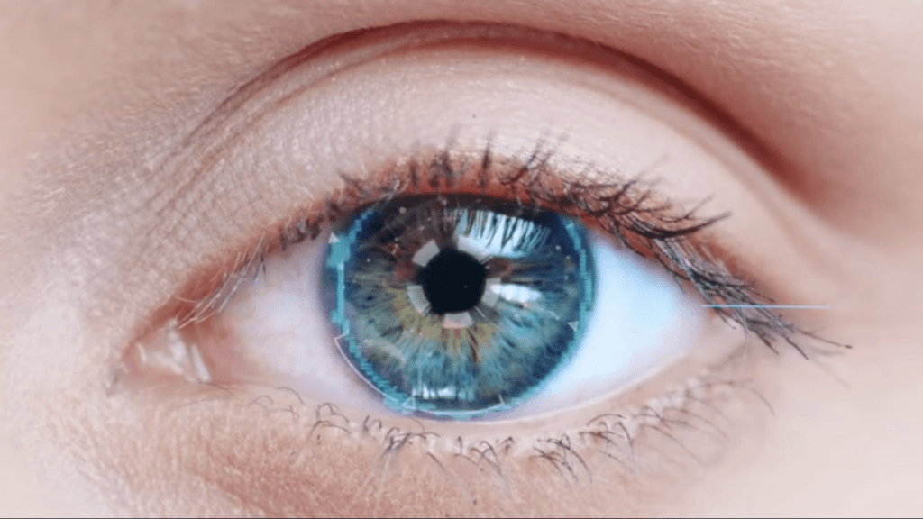 ojo – DocSolutions